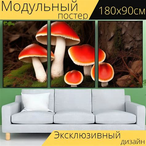 Характеристики Модульный постер любителям природы "Растения, грибы ...