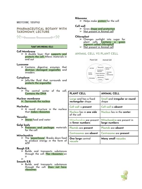 Botany Lecture 1 Pdf Fruit Mitosis