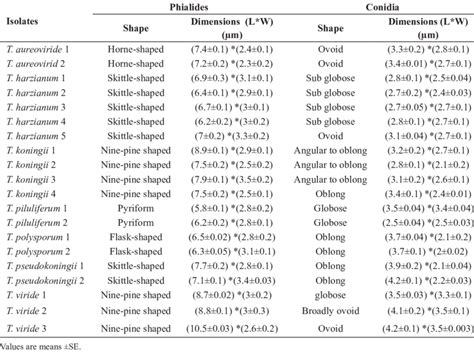 Morphological Characteristics Of Trichoderma Isolates Download Scientific Diagram