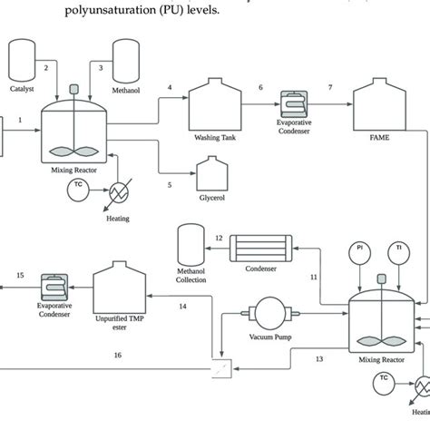 Transesterification Process Flow Diagram Equation Transester