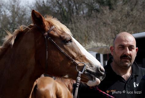 Mociano 29 Marzo 2022 La Galleria Fotografica Di Brontolo Luca Lozzi