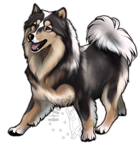 Shedu Companion Carry On By Hlaorith On Deviantart Shedu Companion Carry On By Hlaorith On Deviantart