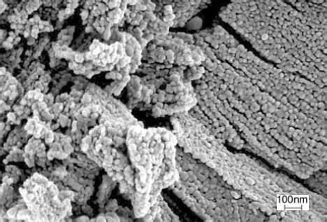 SEM Image Of Synthesized Nano ZnO Download Scientific Diagram