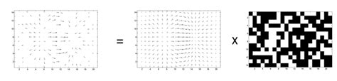ptv measurement model the sparse velocity field on the left may be