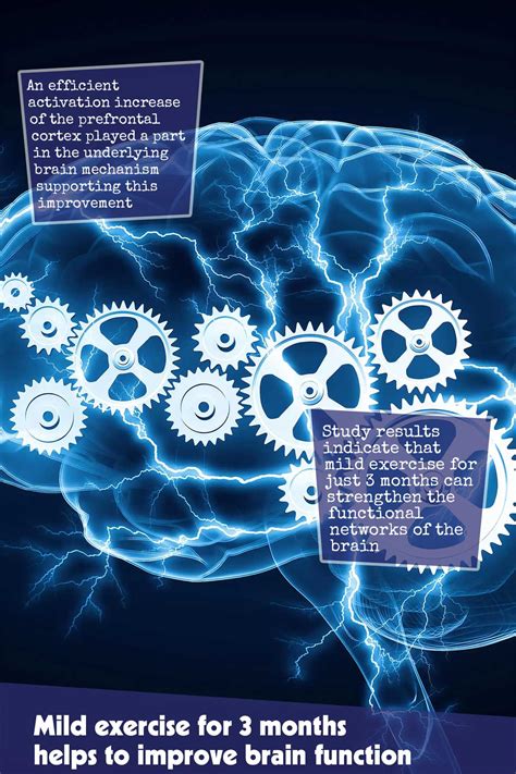 Mild Exercise For 3 Months Helps To Improve Brain Function
