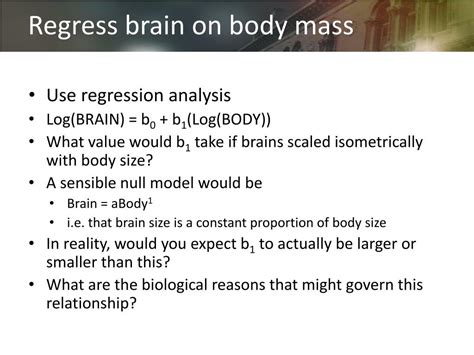 ppt data handling and analysis allometry and log log regression