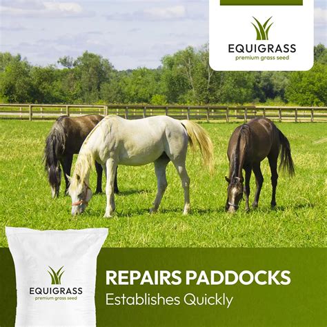 Equigrass™ Professional Paddock Repair Grass Seed Lawns Direct