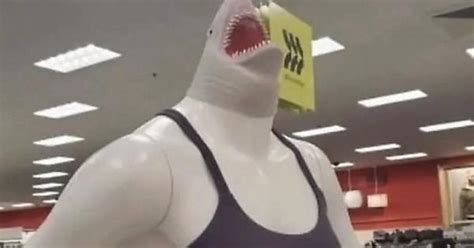 Man Eater™️ Album On Imgur Man Eater™️ Album On Imgur