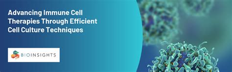 Exploring Breakthroughs In Immune Cell Therapy An Expert Roundtable Discussion ScaleReady