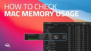 Nice Tips About How To Check Mac Memory Welfareburn20