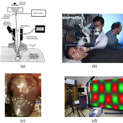 2 Laser Doppler Vibrometry Ldv For Single Point Analyses Of Middle