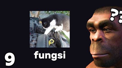 Function Belajar Coding 9 Youtube