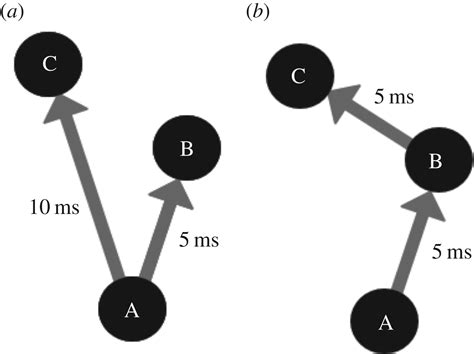 A New Approach To Solving The Feature Binding Problem In Primate Vision Interface Focus