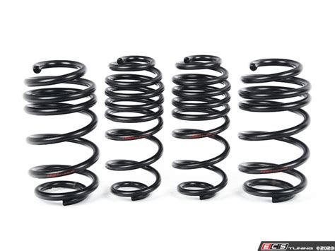 B8 8 5 A5 S5 Lowering Springs