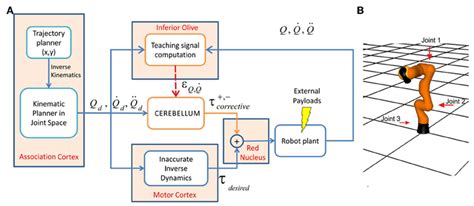 Control Scheme And Robotic Arm A Essential Control Loop Used For Download Scientific Diagram