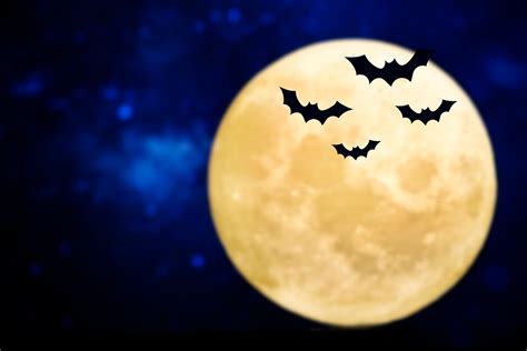 Lunar Phase Illustration Royalty Free Stock Illustration 327826