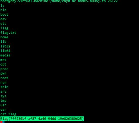 pwn基础入门 1 4：[swpuctf 2022 新生赛]does your nc work？ [swpuctf 2022 新生赛]does