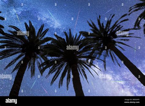 A View Of A Meteor Shower And The Milky Way With Three Palm Trees Silhouettes In The Foreground