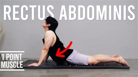 Do This Movement For Health｜rectus Abdominis｜hisdream Stretching