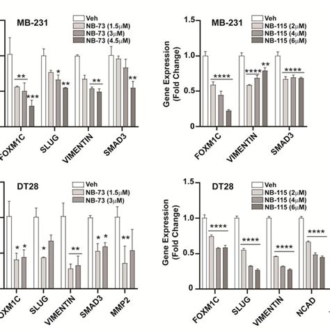 Downregulation Of Emt Associated Gene Expression In Inhibitor Treated Download Scientific
