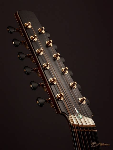 Brand New Klein 457 12 String Brazilian Rosewoodsitka Spruce Dream