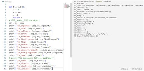 Python 解释器 虚拟机python 虚拟解析器 Csdn博客