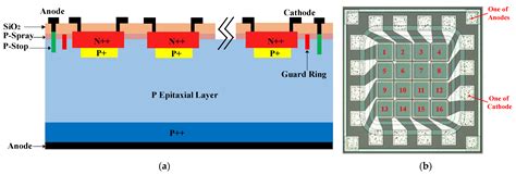 Performance Of Active Quenching Spad Array Based On The Tri State Gates Of Fpga And Packaged