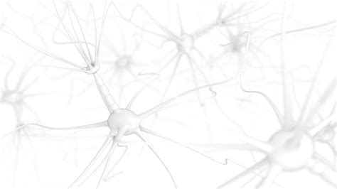 Premium Photo Abstract Neurons On White 3d Rendered Image Of Neuron On White Background