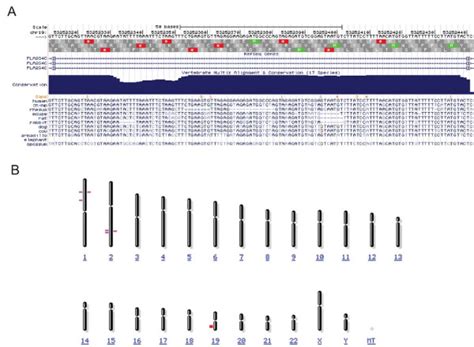 Genomic Alignments Suggest Pla2g4c Noncoding Element Duplicated From