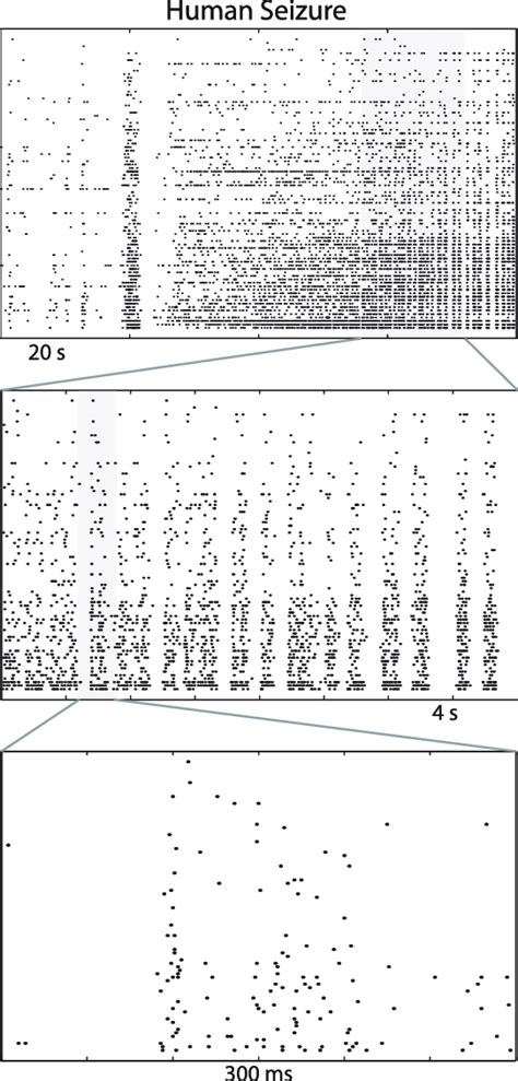 Multiscale Spatiotemporal Spiking Patterns Eighty Four Simultaneously