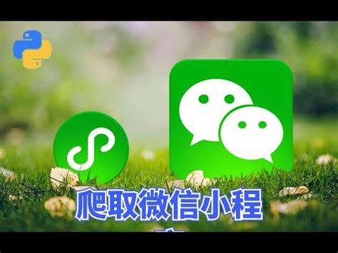 实现爬取微信小程序Python YouTube