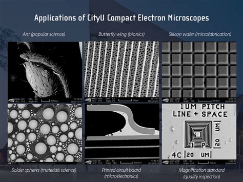 CityU 1st in electron microscope research CityUtoday 今日城大