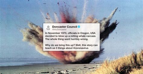 Exploding Whale