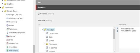 C Sitecore 80 Build 3 Mvc Wffm Custom Validator Not Working