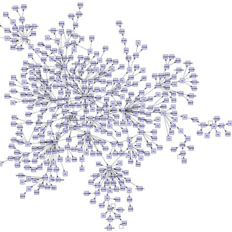 Gene Network Inferred Analyzing Human Cell Cycle Expression Data Download Scientific Diagram