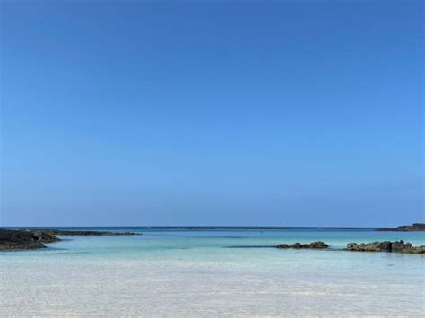 제주 스노클링 하도해변 코난비치 네이버 블로그