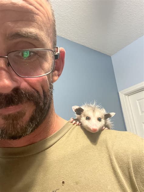 2009 Best Squirt Images On Pholder Theyknew Mildlypenis And Spunchbob