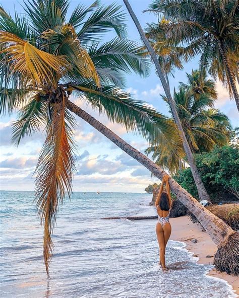 Pin By Nana Chris On Cocktails On The Beach Tropical Dreams Beach