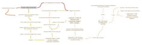 Foreign Antigen Introduction Coggle Diagram Foreign Antigen Introduction Coggle Diagram