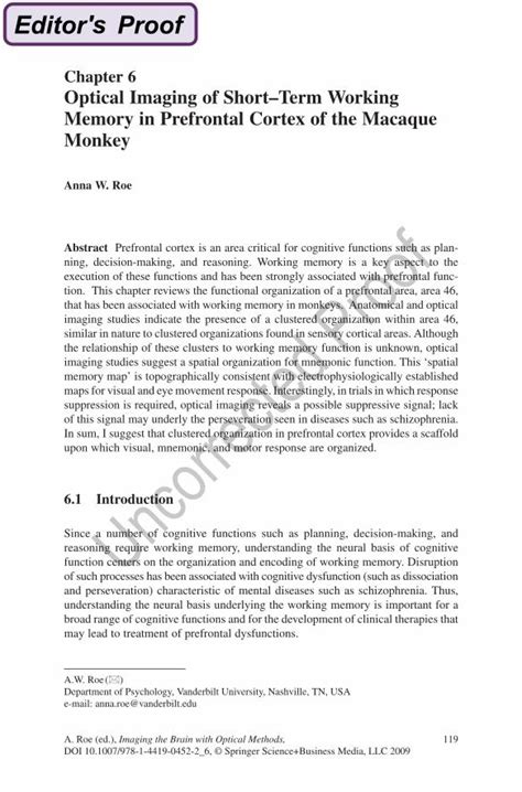 Pdf Optical Imaging Of Shortterm Working Memory In Prefrontal