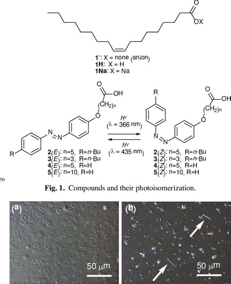 Figure 1 From Macroscopic Motion Of Supramolecular Assemblies Actuated By Photoisomerization Of
