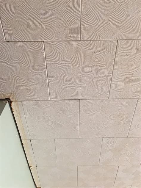Asbestos Ceiling Tiles Rhomeimprovement