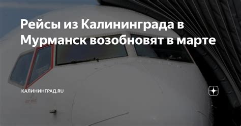 Рейсы из Калининграда в Мурманск возобновят в марте | Калининград.Ru | Дзен