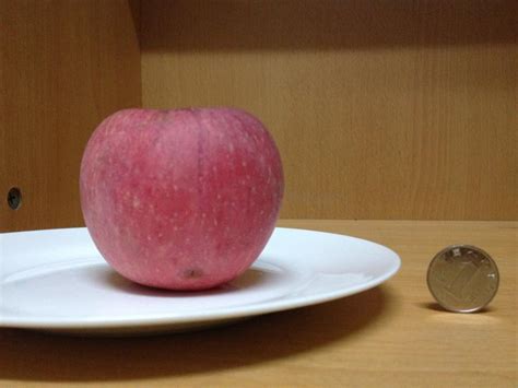 calorie estimation object detection dataset by calorie