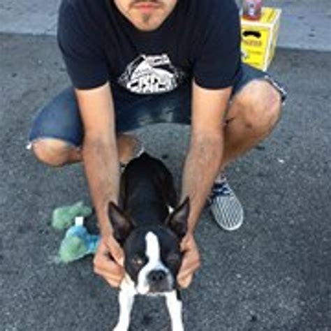 Stream Hamilton Manalo Listen To Dj Danger Mouse Playlist Online For