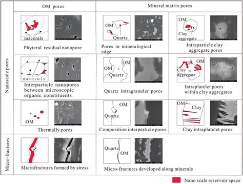 The Nanoscale Pore Types In Anthracite Coals Om Organic Matter