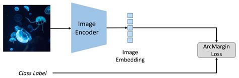 When Text And Images Dont Mix Bias Correcting Language Image