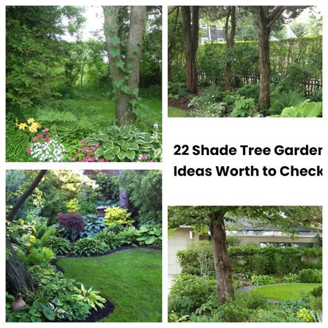 Shade Tree Garden Ideas Worth To Check SharonSable