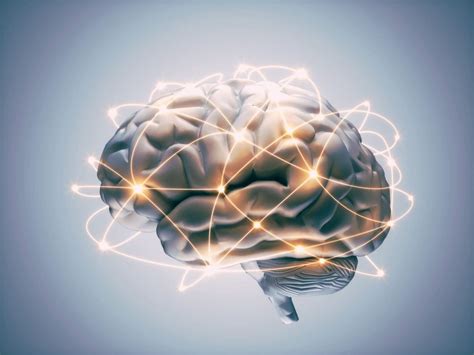 Brain Chemicals During Sex 7 Astonishing Intimacy Insights
