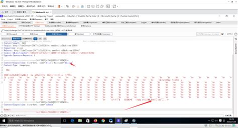 ctfhub文件上传 文件头检查 ctfhub 文件上传 文件头检测 csdn博客